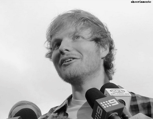 Sheerio fandom GIF - Conseguir o melhor gif em GIFER