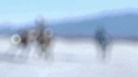 Greyhound GIFs - Get the best gif on GIFER