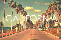 California GIFs - Get the best gif on GIFER
