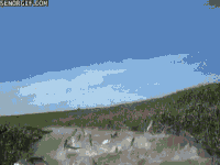 Carp GIFs - Get the best gif on GIFER