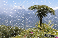 Reunion GIFs - Get the best gif on GIFER