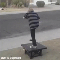 Bolo GIFs - Get the best gif on GIFER