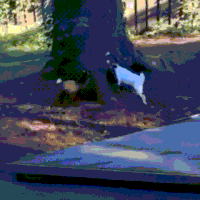 Ledge GIFs - Get the best gif on GIFER