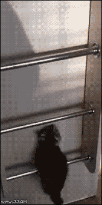 Climbed GIFs - Get the best gif on GIFER