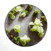 Restaurant GIFs - Get the best gif on GIFER