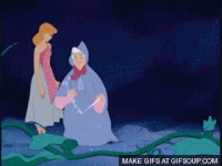 Cinderella GIFs - Get the best gif on GIFER