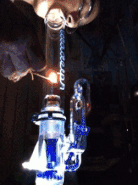 Ripping GIFs - Get the best gif on GIFER