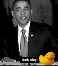 Noisy GIFs - Get the best gif on GIFER