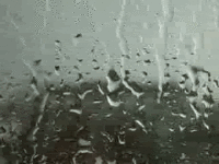Raining GIFs - Get the best gif on GIFER