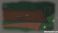 Frolick GIFs - Get the best gif on GIFER