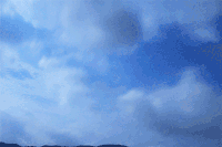 Lolololol GIFs - Get the best gif on GIFER