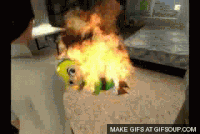 Halt GIFs - Get the best gif on GIFER