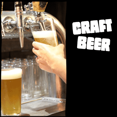Birra GIFs - Get the best gif on GIFER