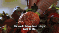 Pushing GIFs - Get the best gif on GIFER