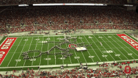 Ohio state university GIF - Conseguir o melhor gif em GIFER