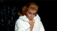 1964 GIFs - Get the best gif on GIFER