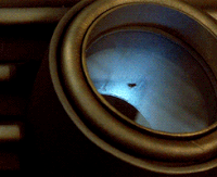 Mosca GIFs - Get the best gif on GIFER