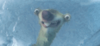 Deny GIFs - Get the best gif on GIFER