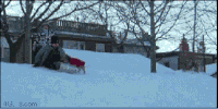 Sledding GIFs - Get the best gif on GIFER