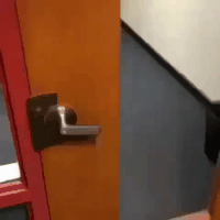 Insert GIFs - Get the best gif on GIFER