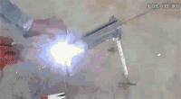 Natural selection GIFs - Get the best gif on GIFER