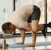 Pec bounce GIFs - Get the best gif on GIFER