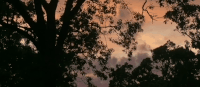 Soothe GIFs - Get the best gif on GIFER