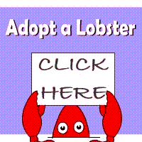 Lobster GIFs - Get the best gif on GIFER