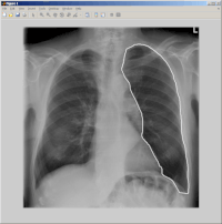 Representation GIFs - Get the best gif on GIFER