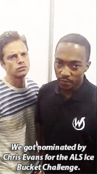 Pena GIFs - Get the best gif on GIFER