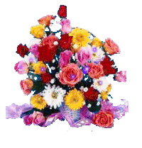 Bouquet GIFs - Get the best gif on GIFER