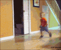 Playtime GIFs - Get the best gif on GIFER