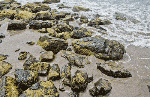 Appealing GIFs - Get the best gif on GIFER