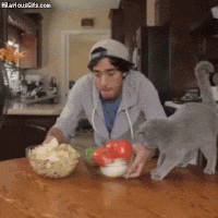 Pringle GIFs - Get the best gif on GIFER