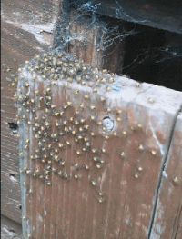 Bundle GIFs - Get the best gif on GIFER