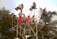 Unbanned GIFs - Get the best gif on GIFER