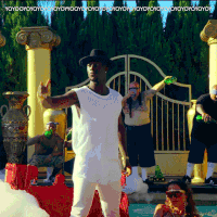 Pound GIFs - Get the best gif on GIFER
