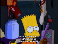 Mischief GIFs - Get the best gif on GIFER