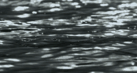 Relaxation GIFs - Get the best gif on GIFER