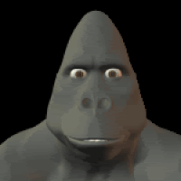 Affe GIFs - Obtenez le meilleur gif sur GIFER