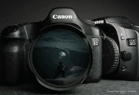 Photography GIFs - Get the best gif on GIFER