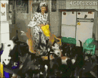 Feeding GIFs - Get the best gif on GIFER