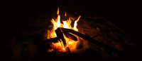 Campfire GIFs - Get the best gif on GIFER