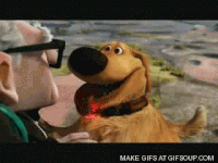 Auditing GIFs - Get the best gif on GIFER