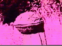 Capacity GIFs - Get the best gif on GIFER