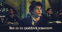 Quidditch GIFs - Get the best gif on GIFER