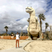 Tyrannosaurus rex GIFs - Get the best gif on GIFER