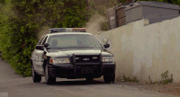 Cops GIFs - Get the best gif on GIFER