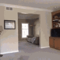Cleaner GIFs - Get the best gif on GIFER