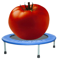 Tomato GIFs - Get the best gif on GIFER